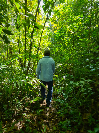 Tropical Forest And People - Izabal Wood Co.
